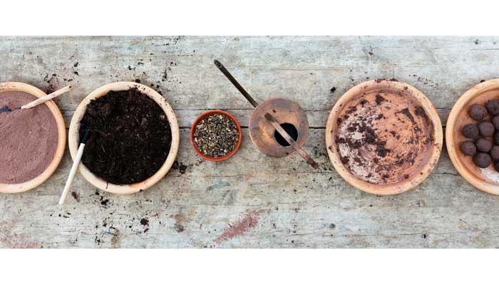 5 Cool Facts about Seed Balls