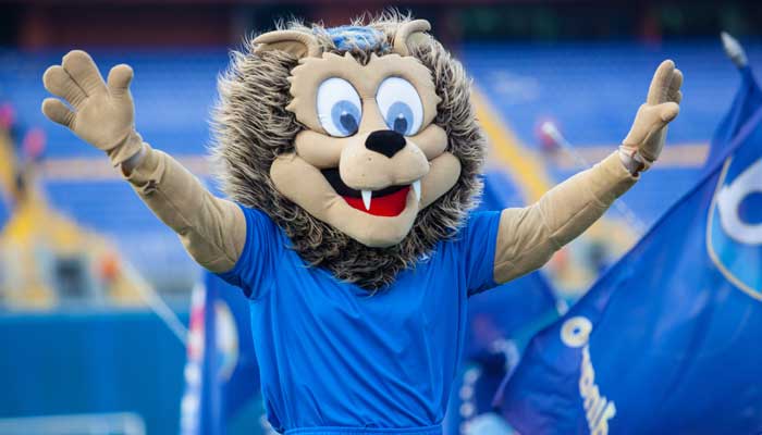 Popular Mascots from Premier League Teams