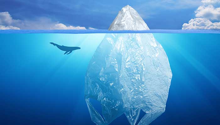 Plastic Pollution: How Plastic is destroying our planet