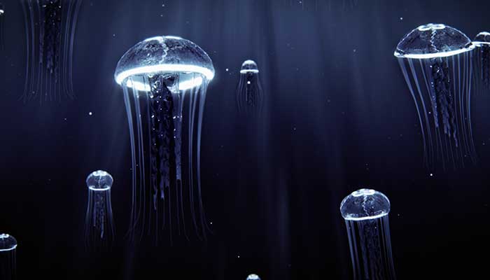 5 Animals That Actually Glow