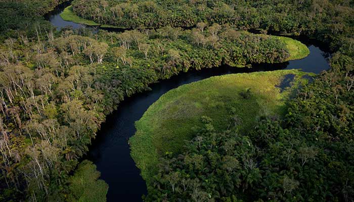 Major Rivers In Africa